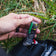 Sewing Kit | GEAR AID